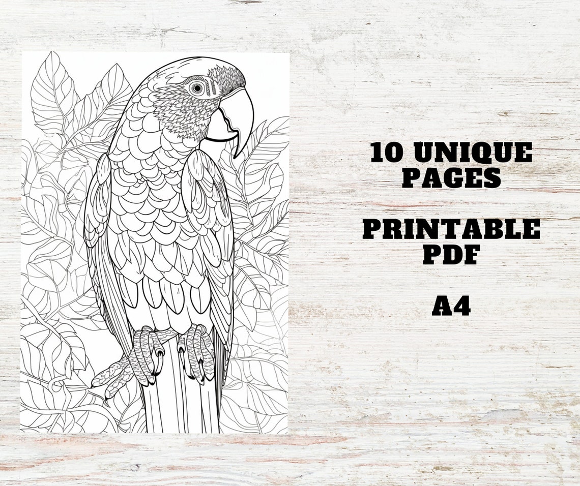 10 Macaw Bird Coloring Pages | Printable PDF A4 | Beautiful Birds ...