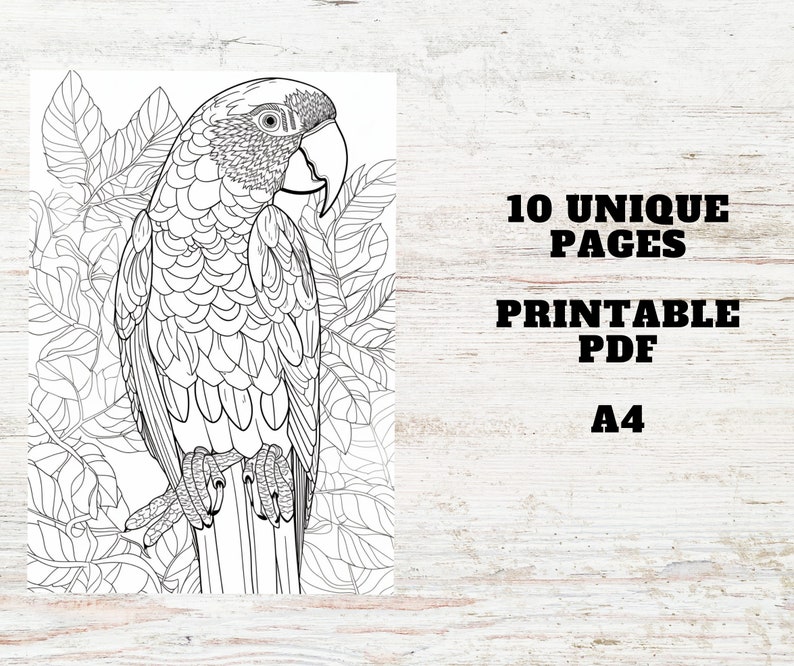 10 Macaw Bird Coloring Pages | Printable PDF A4 | Beautiful Birds ...