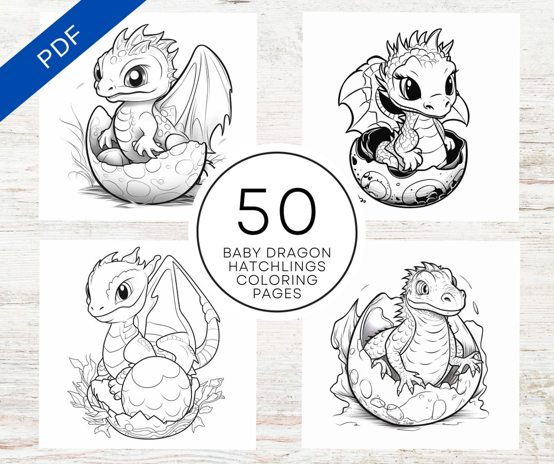 KDP Interior 50 Baby Dragon Hatchling Coloring Pages 8.5 X 11 Printable ...