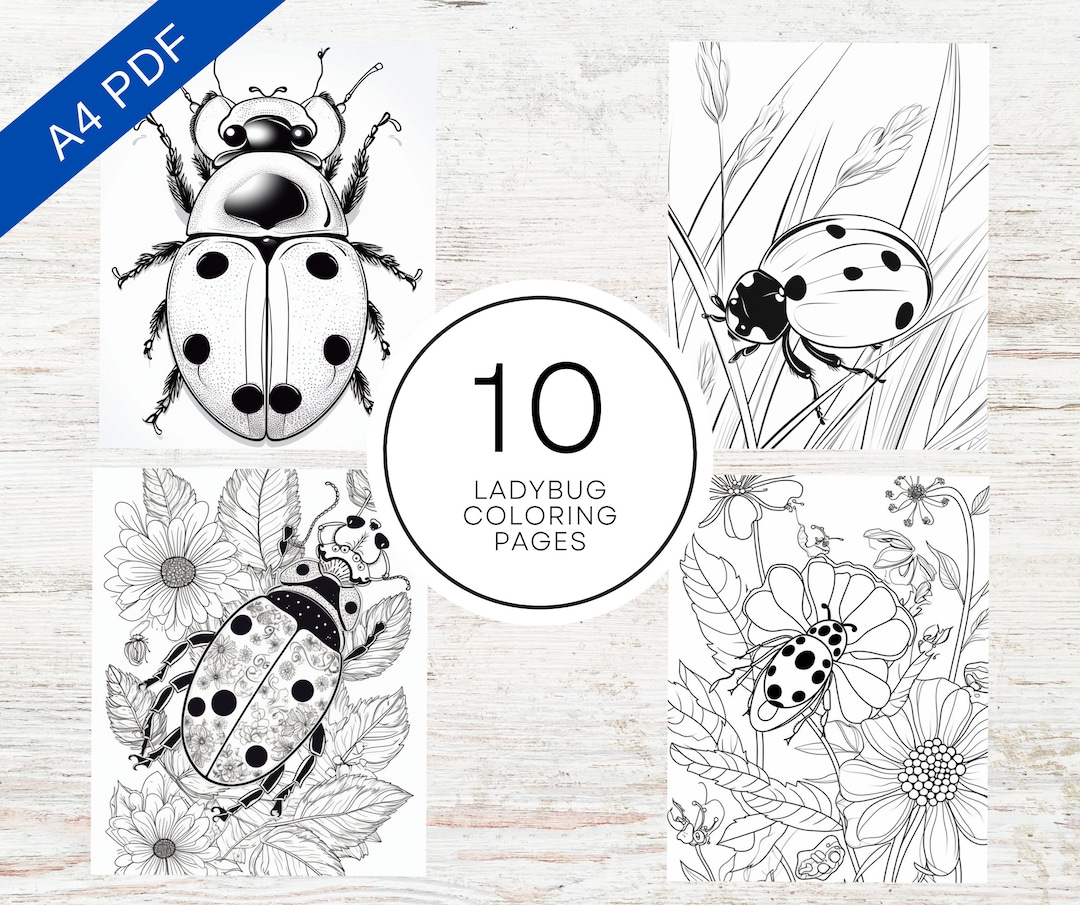 10 Ladybug Coloring Pages | A4 Printable PDF | Bug Coloring Book for ...
