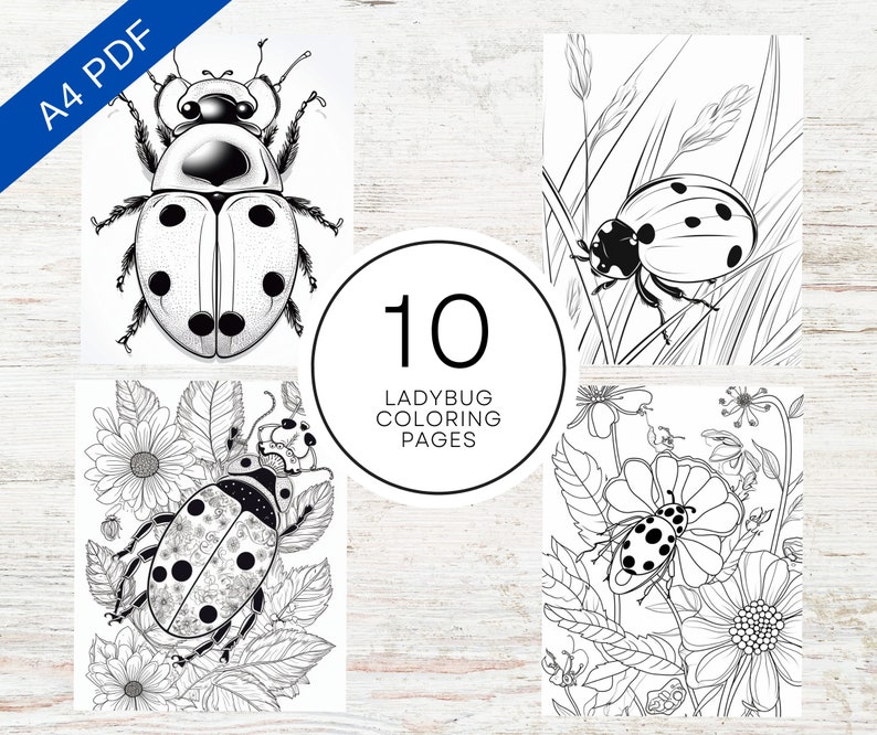 10 Ladybug Coloring Pages | A4 Printable PDF | Bug Coloring Book for ...