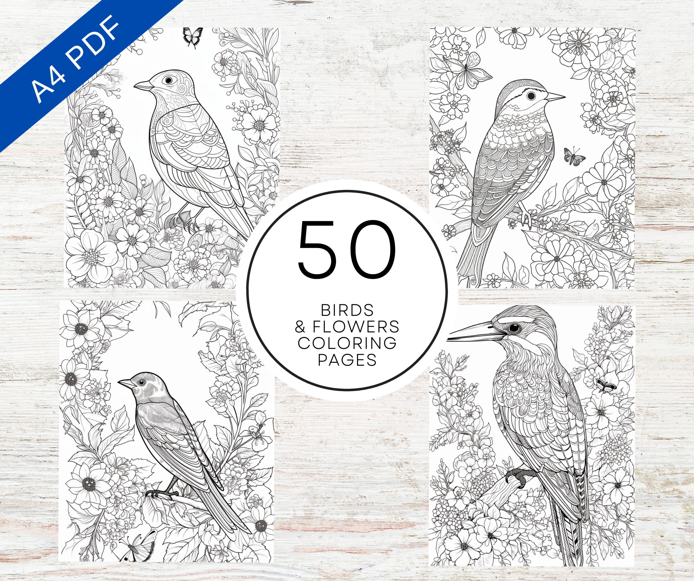 50 Bird & Flower Coloring Pages | A4 Printable PDF | Adult and Kids ...