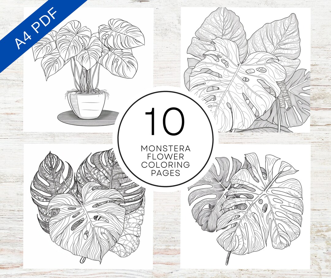 10 Monstera Flower Coloring Pages | Printable PDF A4 | Exotic Botanical ...