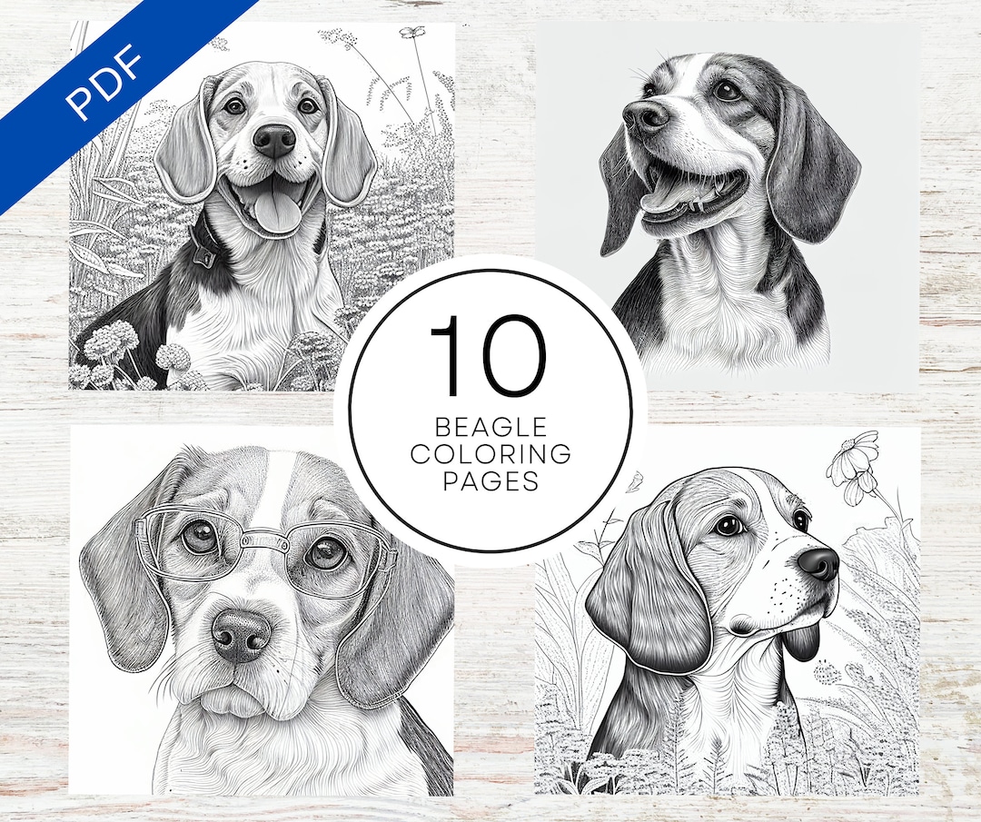 10 Cute Beagle Dogs Coloring Pages | A4 Printable PDF | Dog Coloring ...