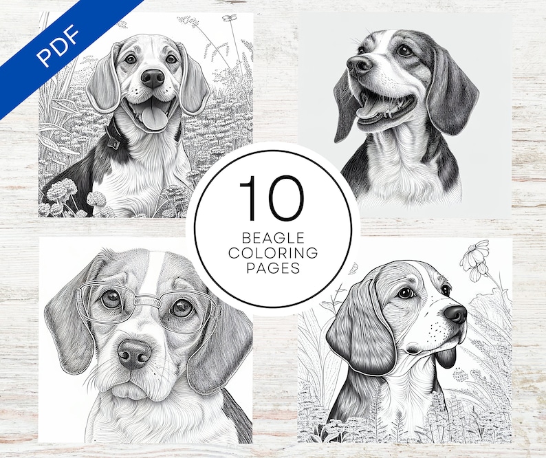 10 Cute Beagle Dogs Coloring Pages A4 Printable PDF Dog - Etsy