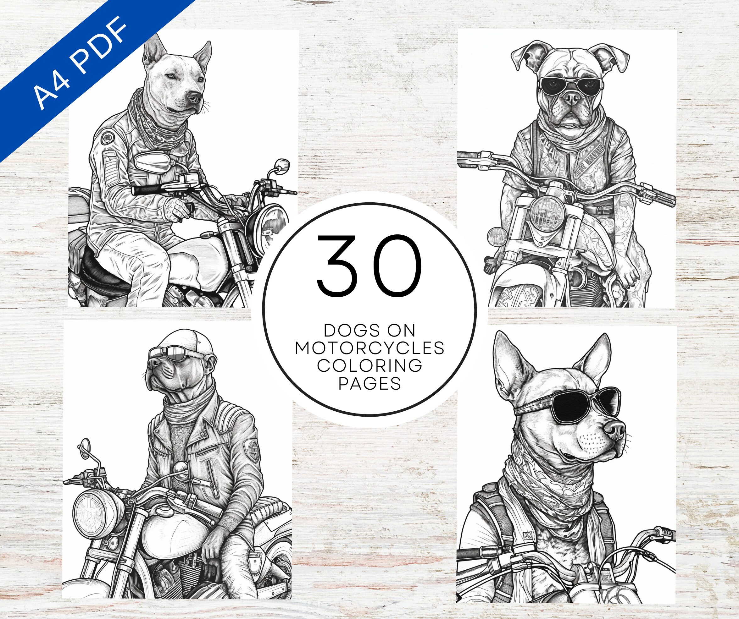 30 Dogs on Motorcycles Coloring Pages | Printable PDF 30 Pages A4 ...