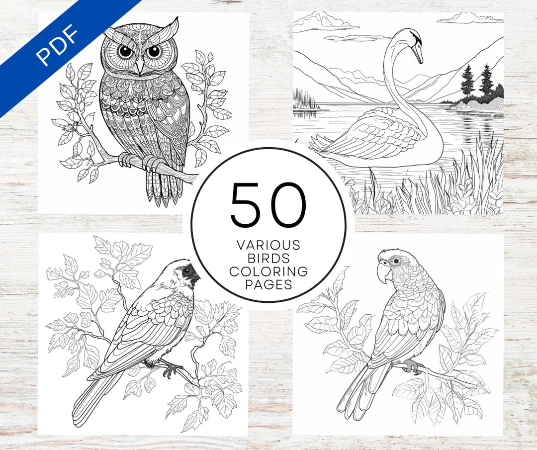 KDP Interior 50 Various Bird Coloring Pages 8.5 X 11 Printable PDF ...