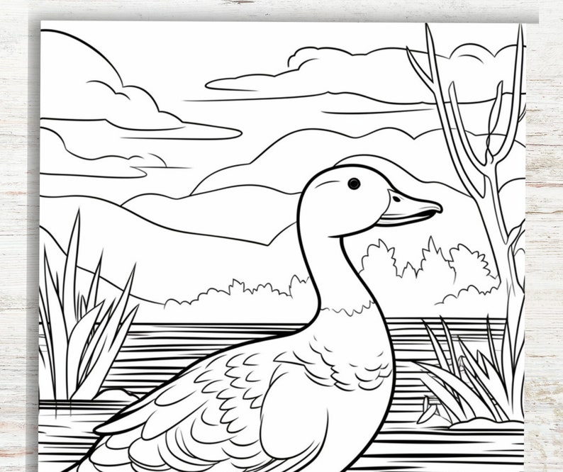 10 Duck Coloring Pages | Printable PDF A4 | Animal Coloring Sheets for ...