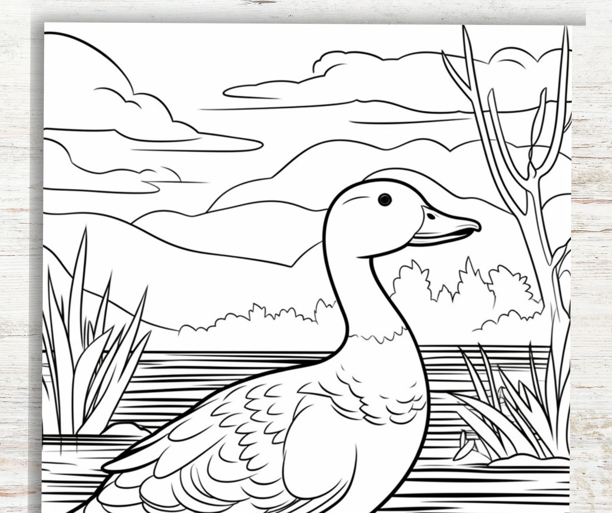 10 Duck Coloring Pages Printable PDF A4 Animal Coloring Sheets for Kids ...
