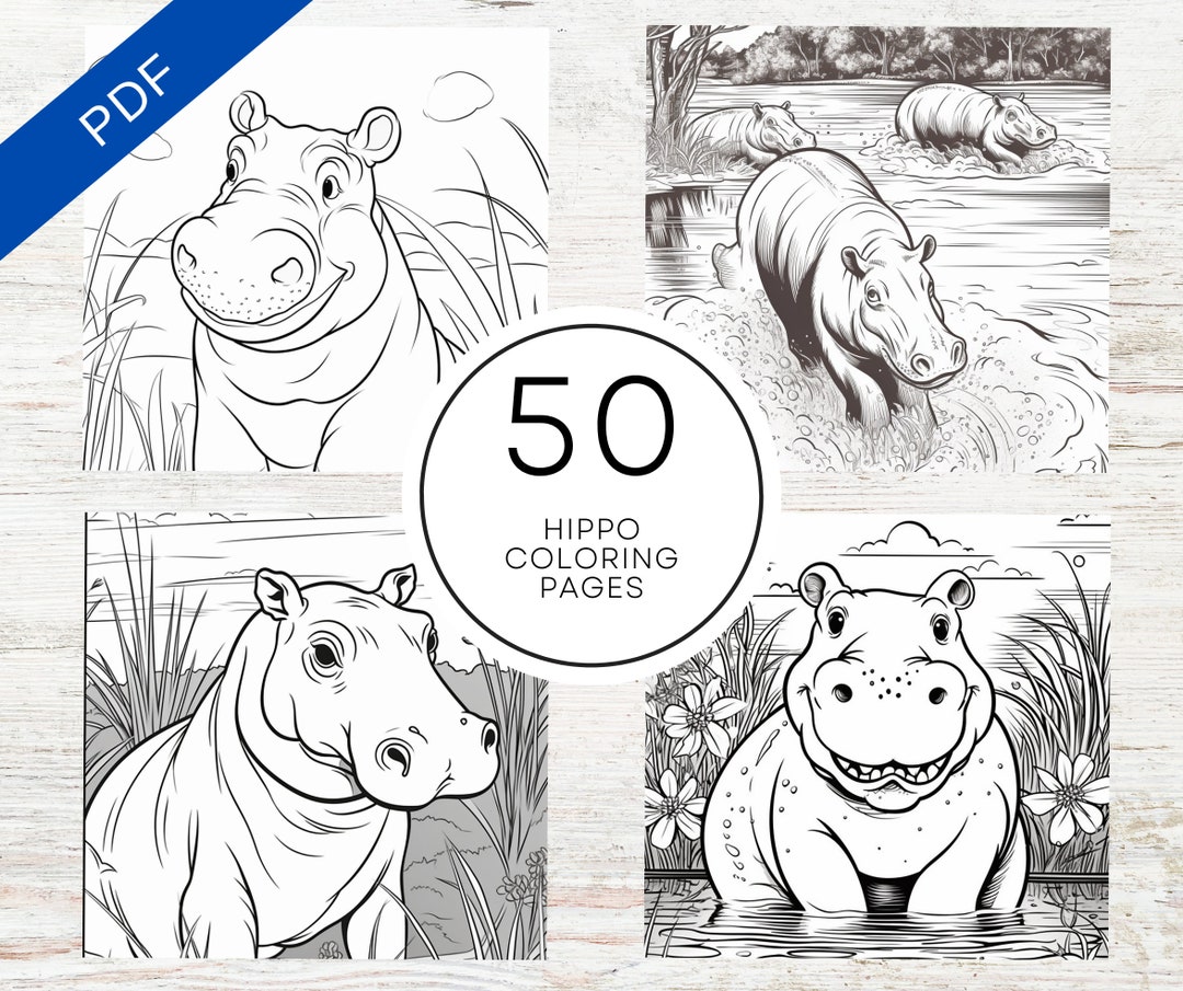 KDP Interior 50 Hippo Coloring Pages | 8.5" X 11" Printable PDF | Kids ...