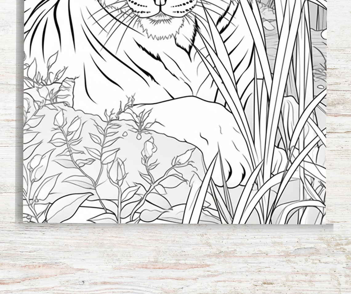 20 Lions and Tigers Coloring Pages | Printable PDF A4 | Wild Animals ...