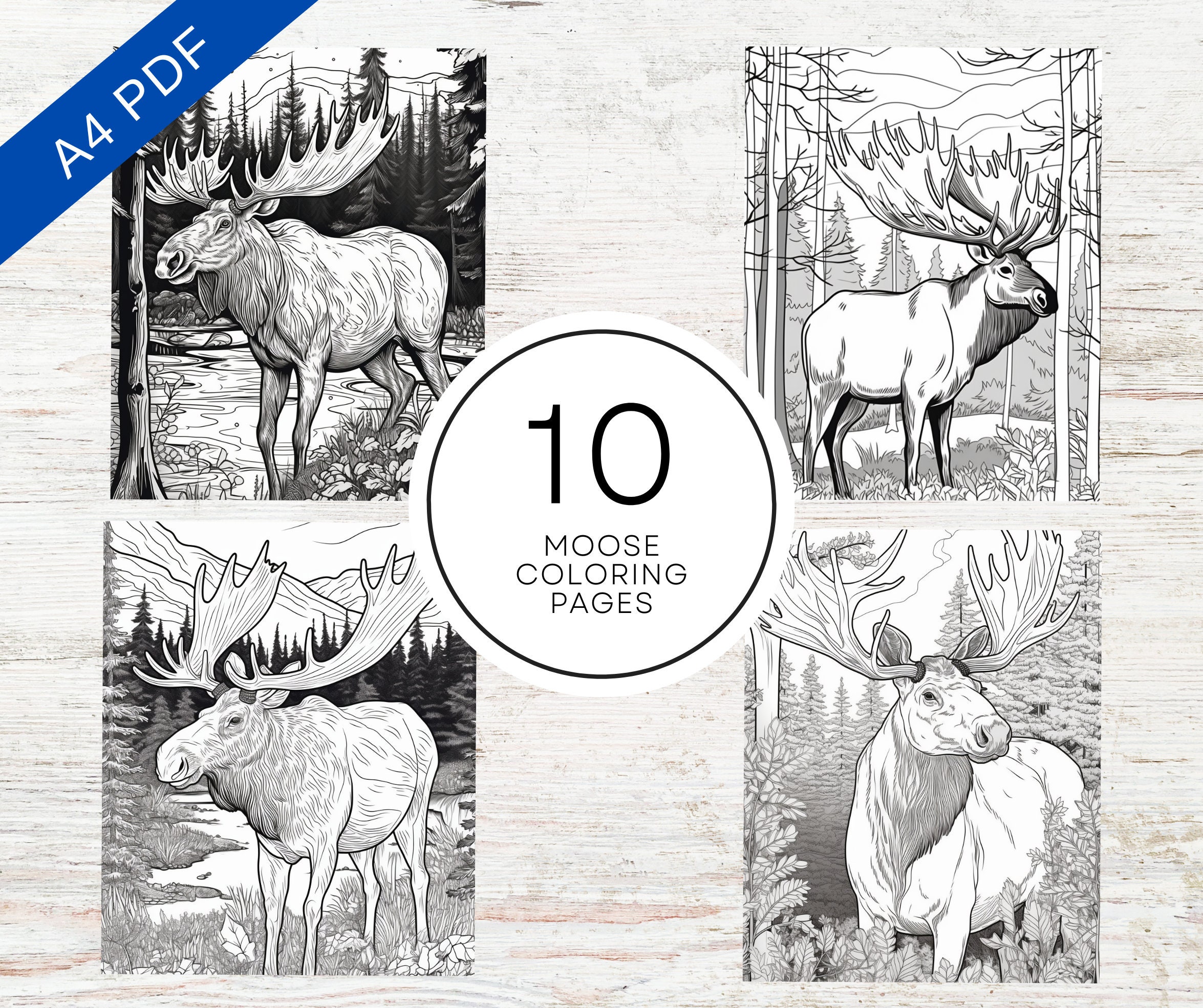 10 Moose Coloring Pages | A4 Printable PDF | Forest Wildlife Coloring ...