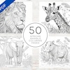 20 Lions and Tigers Coloring Pages Printable PDF A4 Wild Animals ...