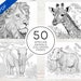 20 Lions and Tigers Coloring Pages Printable PDF A4 Wild Animals ...