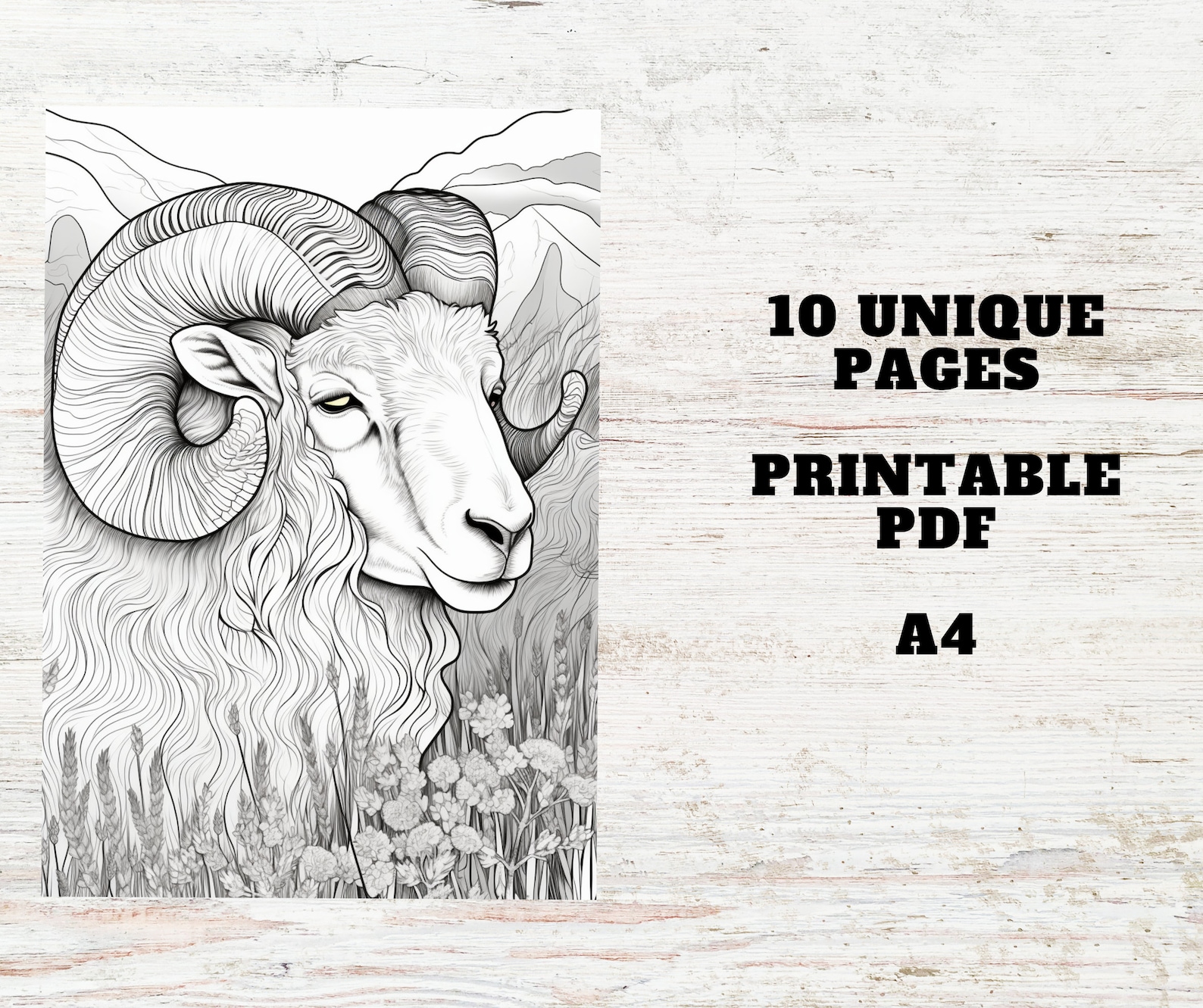10 Ram Coloring Pages for Teens & Adults | A4 Printable Animal Coloring ...