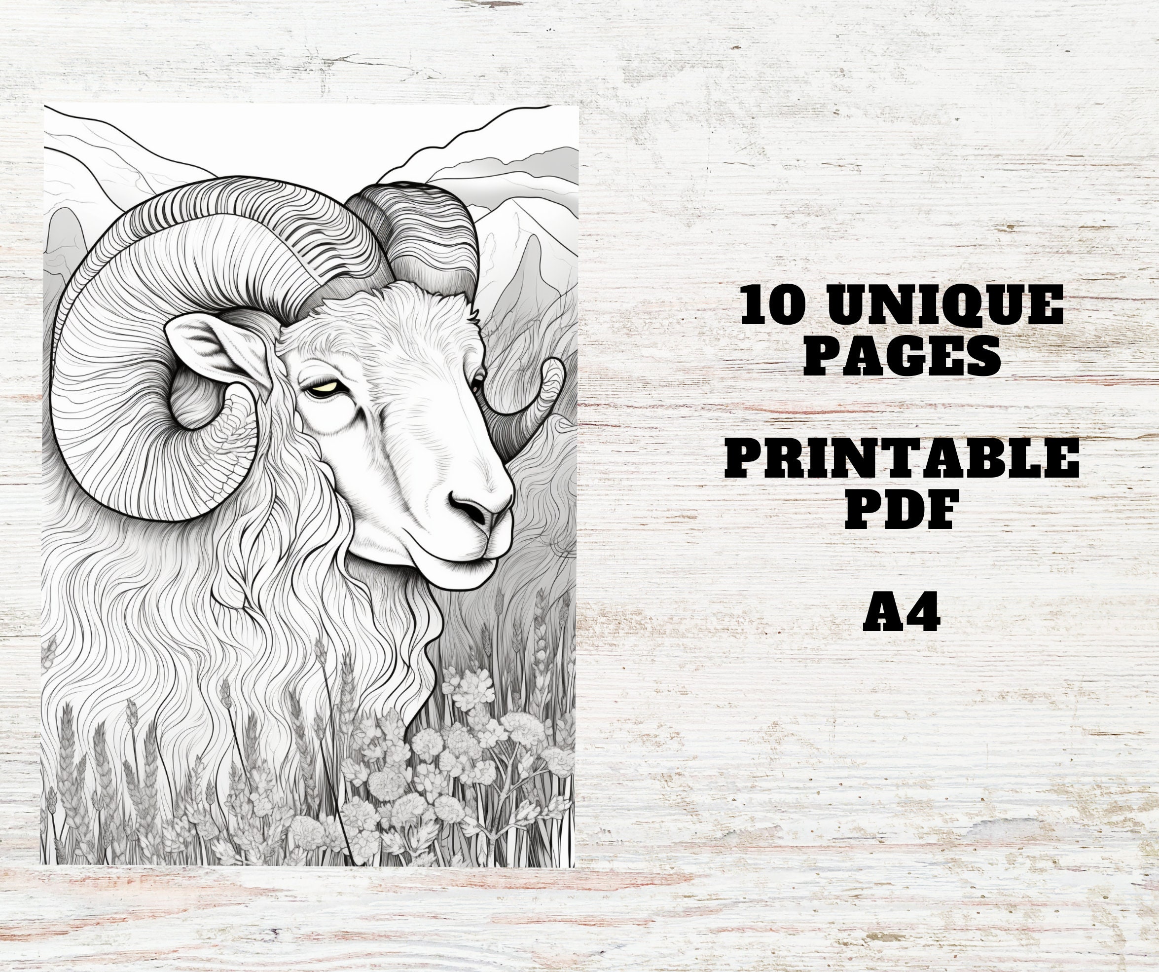 10 Ram Coloring Pages for Teens & Adults | A4 Printable Animal Coloring ...