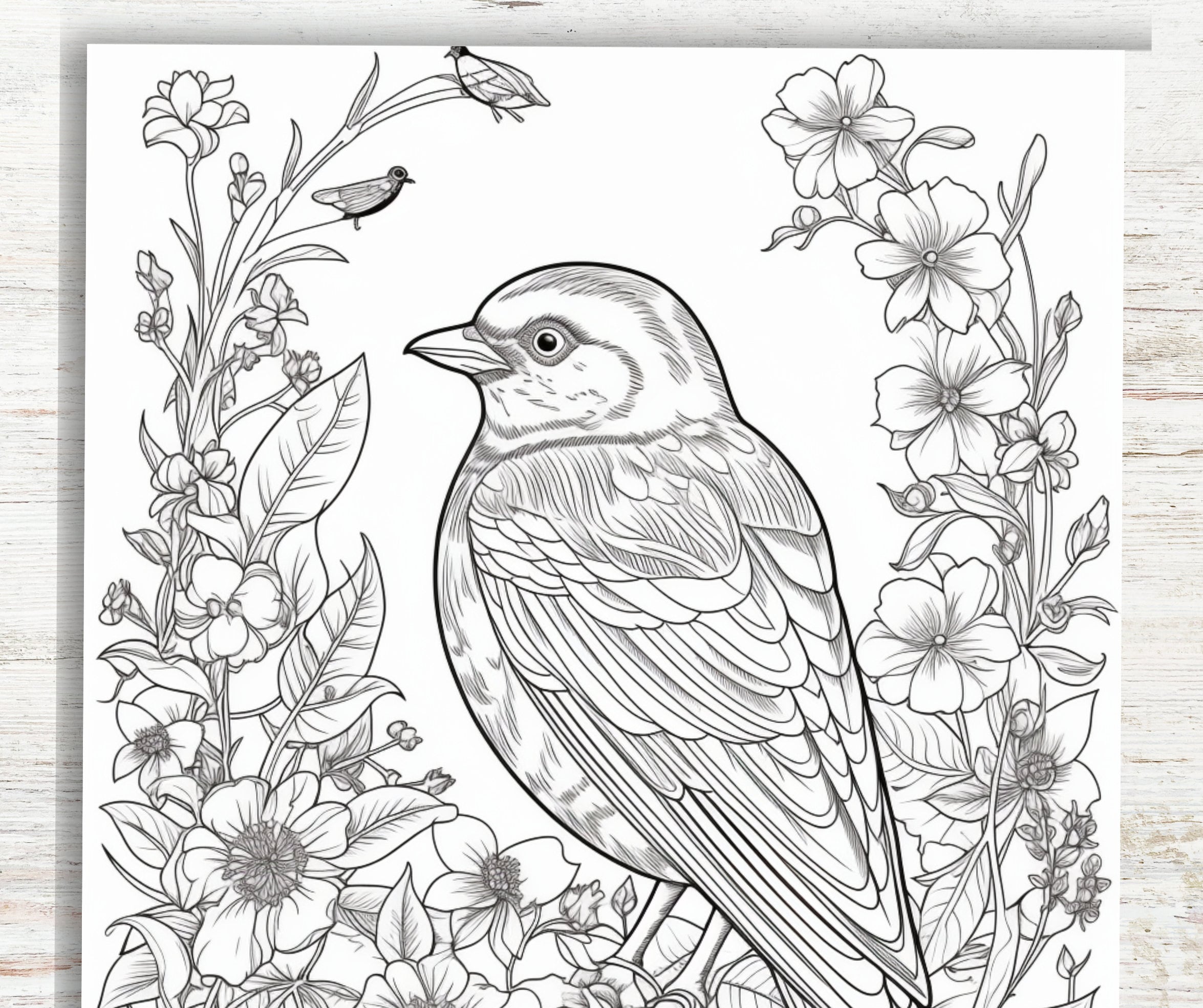 50 Bird & Flower Coloring Pages | A4 Printable PDF | Adult and Kids ...