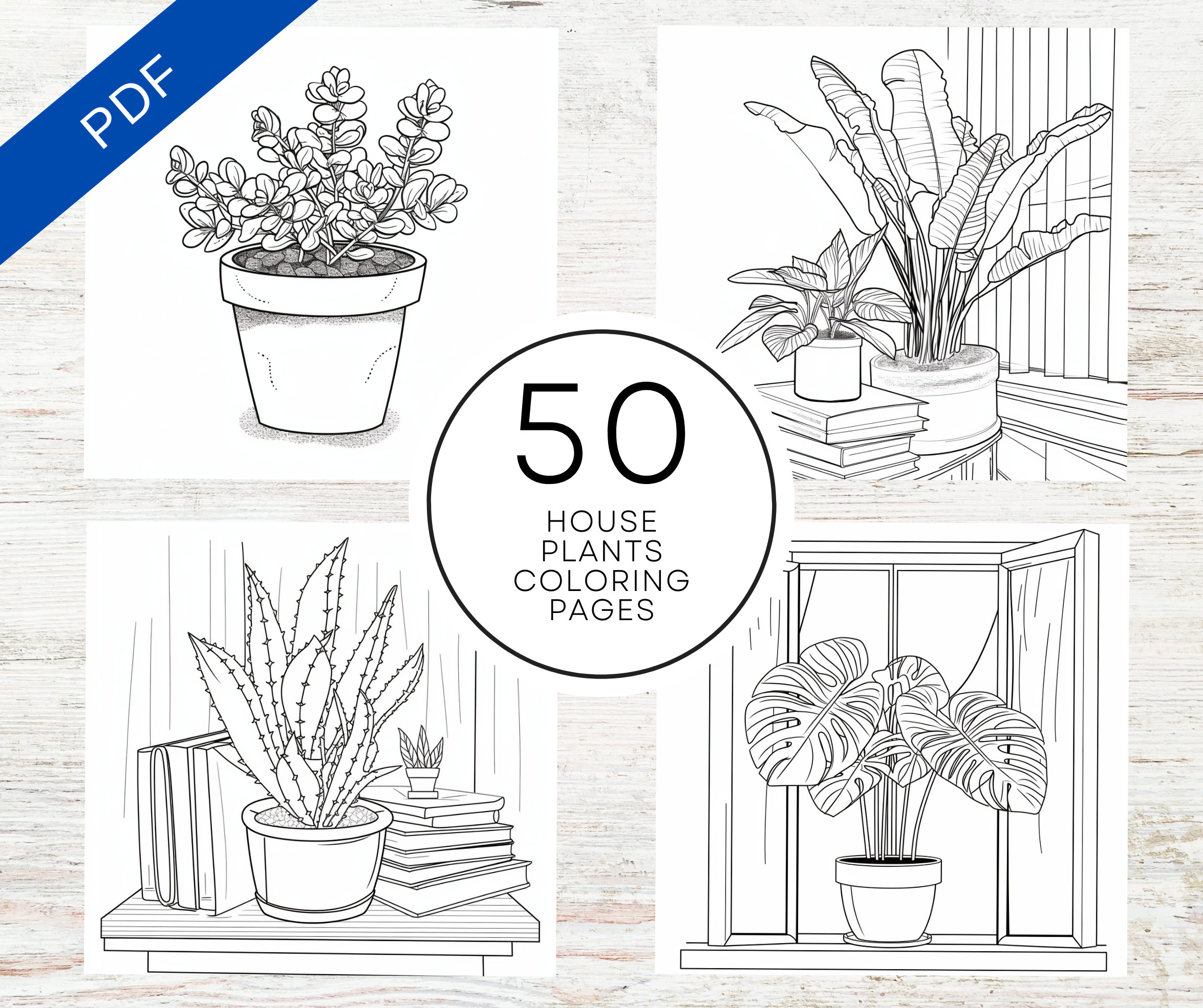 KDP Interior 50 House Plants Coloring Pages 8.5 X 11 PDF & Canva ...