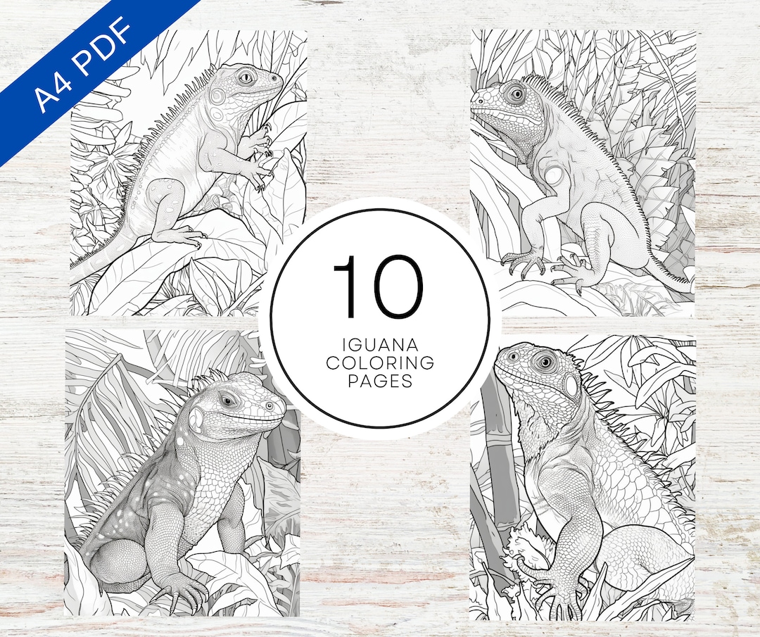 10 Iguana Coloring Pages | Printable PDF A4 | Jungle Animal Coloring ...