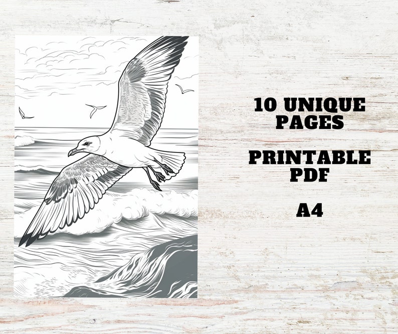 10 Seagull Bird Coloring Pages | Printable PDF A4 | Sea Birds Coloring ...