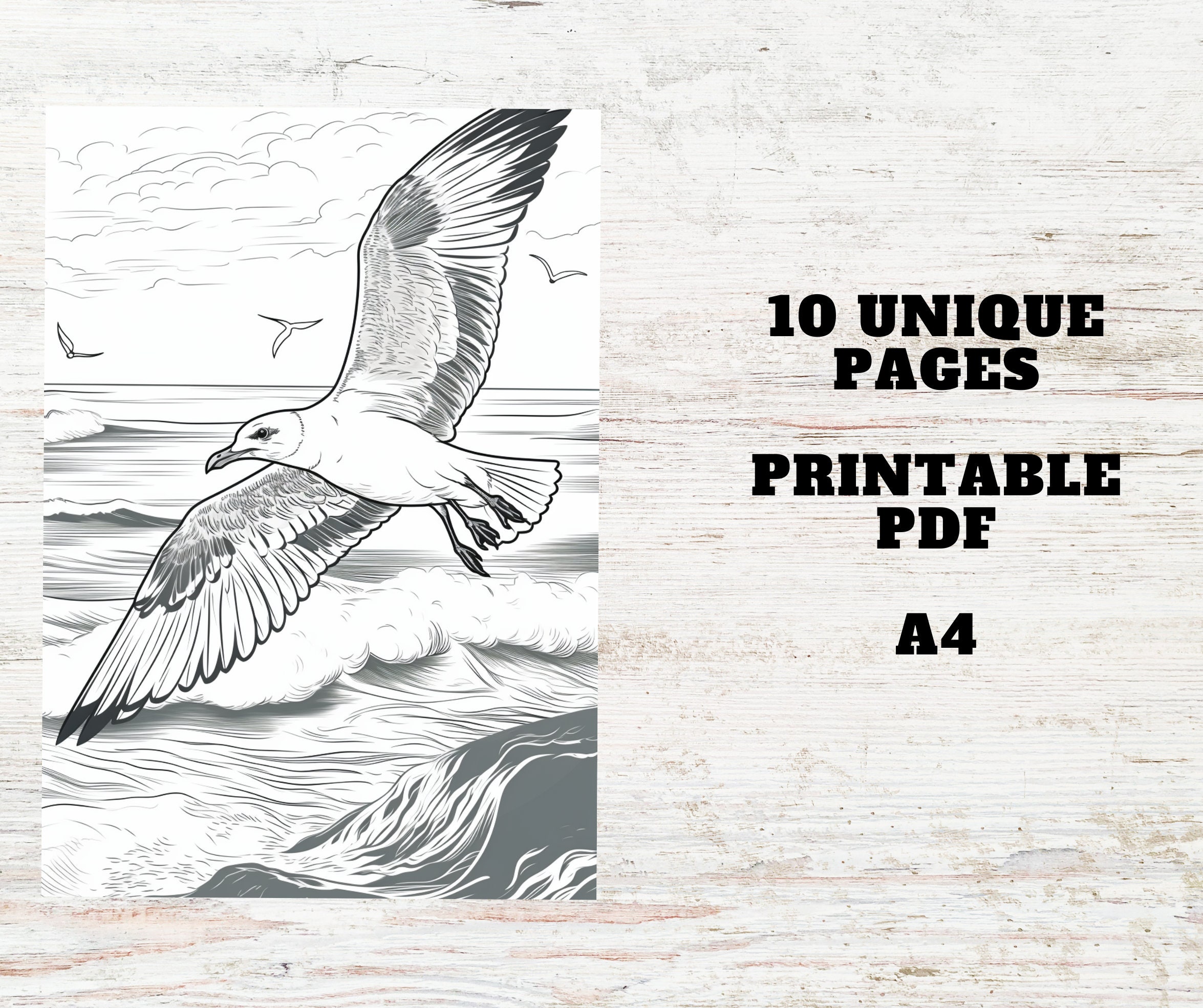 10 Seagull Bird Coloring Pages | Printable PDF A4 | Sea Birds Coloring ...