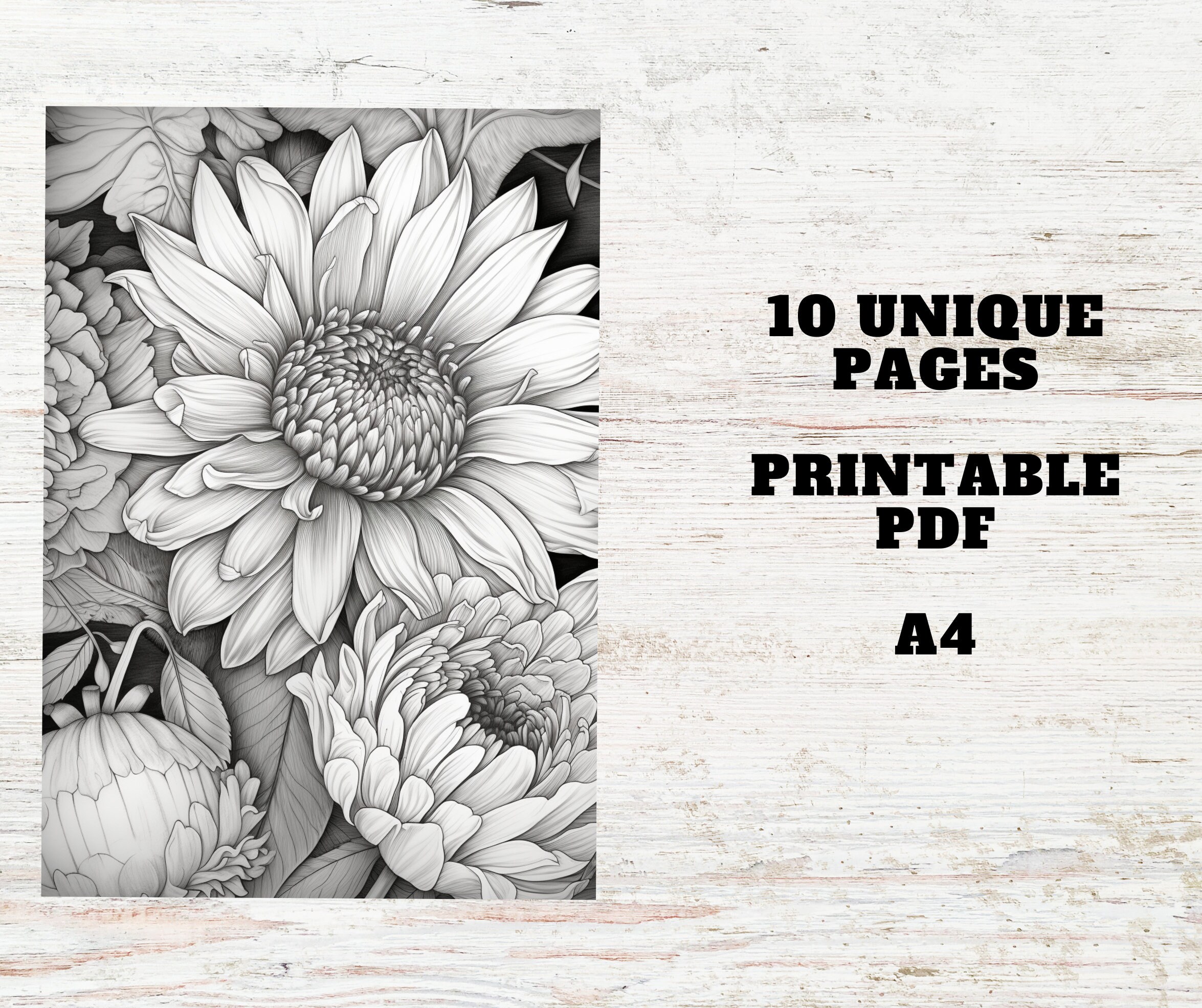 10 Grayscale Flower Coloring Pages for Adults Digital Coloring Sheets ...