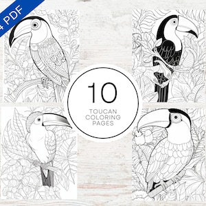 10 Toucan Coloring Pages | Printable PDF A4 | Beautiful Birds | Animal ...