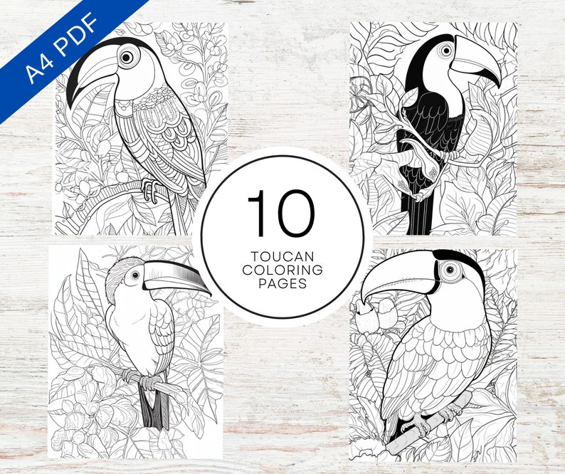 10 Toucan Coloring Pages | Printable PDF A4 | Beautiful Birds | Animal ...