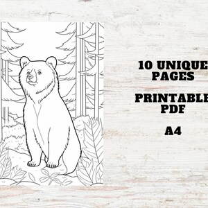 10 Baby Bear Cubs Coloring Pages | Printable PDF A4 | Adult and Teens ...