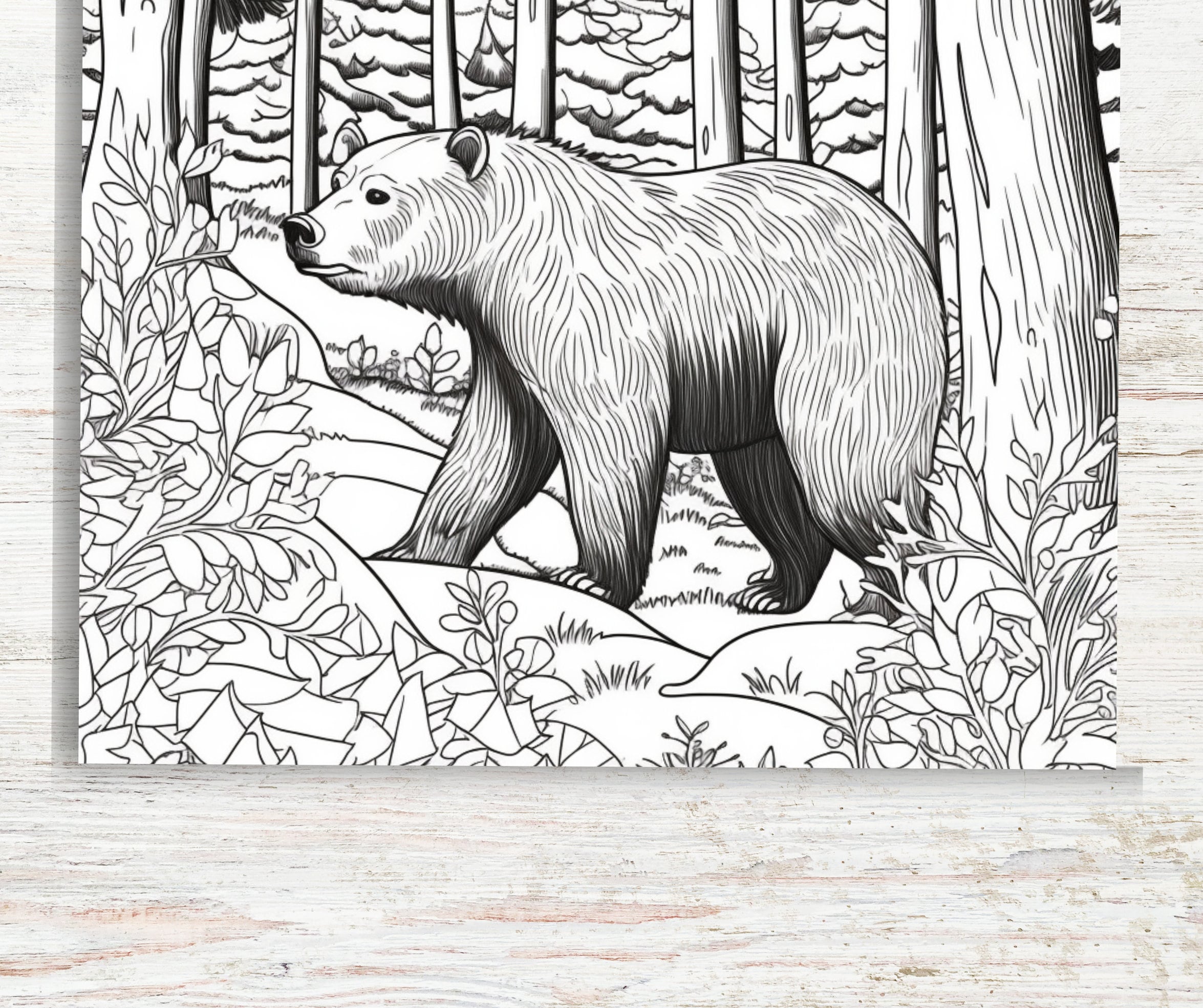 10 Grizzly Bear Coloring Pages | Printable PDF A4 | Adult and Teens ...