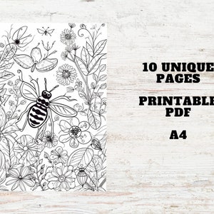 10 Bugs & Flowers Coloring Pages | Printable PDF A4 | Spring Insects ...