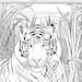 20 Lions and Tigers Coloring Pages | Printable PDF A4 | Wild Animals ...