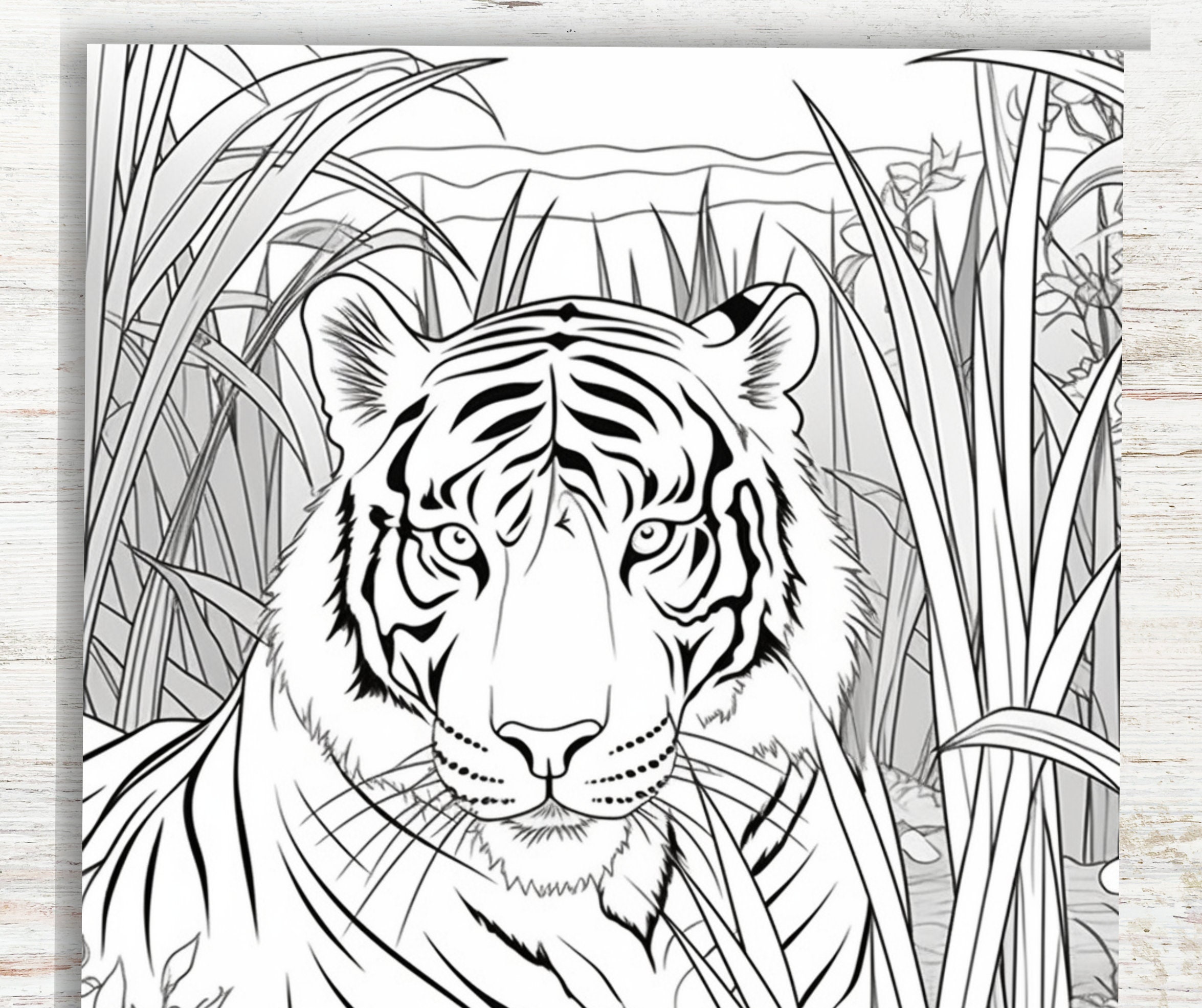 20 Lions and Tigers Coloring Pages | Printable PDF A4 | Wild Animals ...