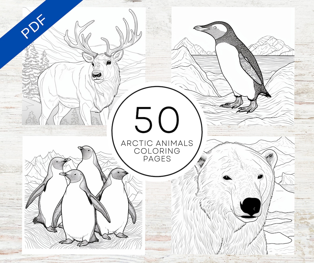 KDP Interior Arctic Animals Coloring Pages | 8.5" X 11" Printable PDF ...