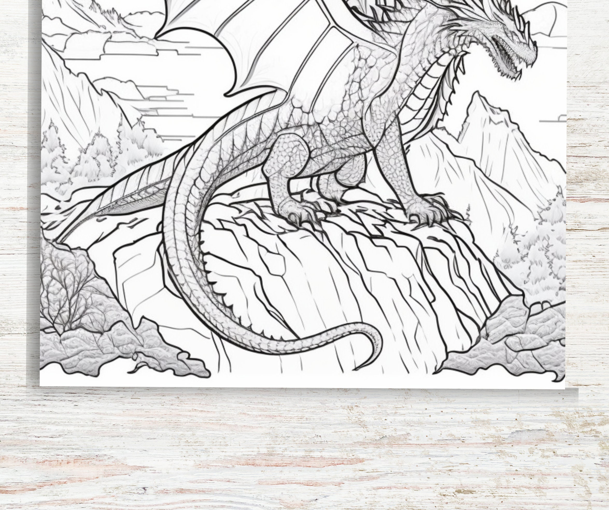 KDP Interior 50 Dragon Coloring Pages | 8.5" X 11" Printable PDF ...