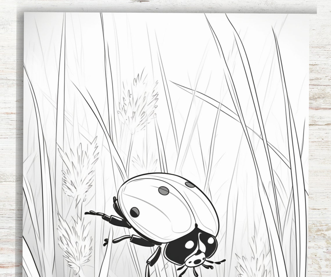 10 Ladybug Coloring Pages | A4 Printable PDF | Bug Coloring Book for ...