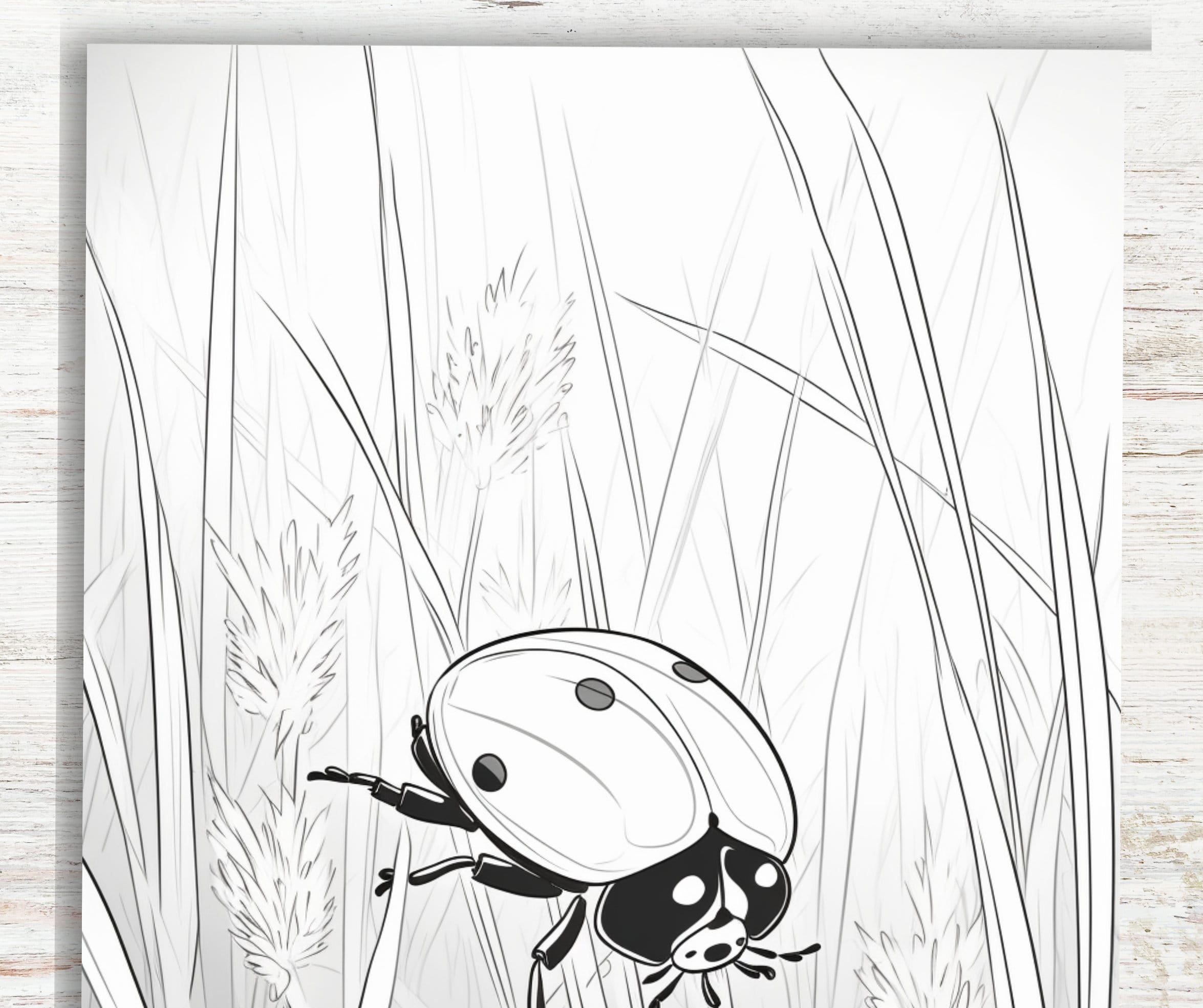 10 Ladybug Coloring Pages | A4 Printable PDF | Bug Coloring Book for ...