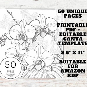 KDP Interior 50 Orchid Flower Coloring Pages for Adults 8.5 X 11 PDF ...
