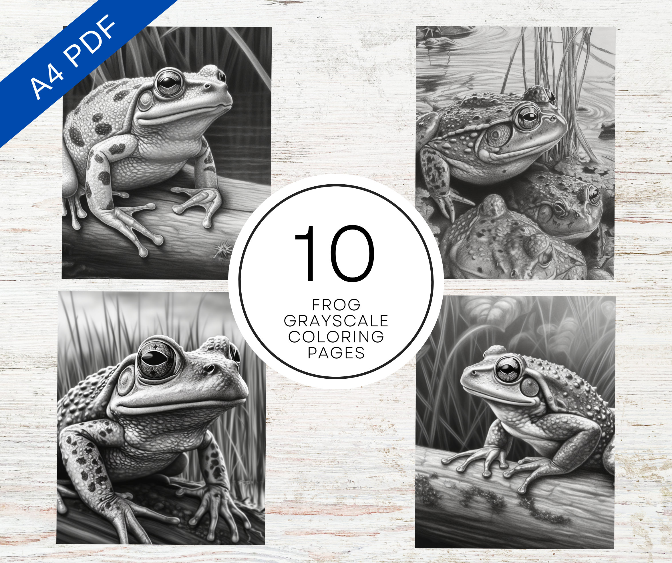 10 Grayscale Frog Coloring Pages for Adults | Digital Coloring Sheets ...