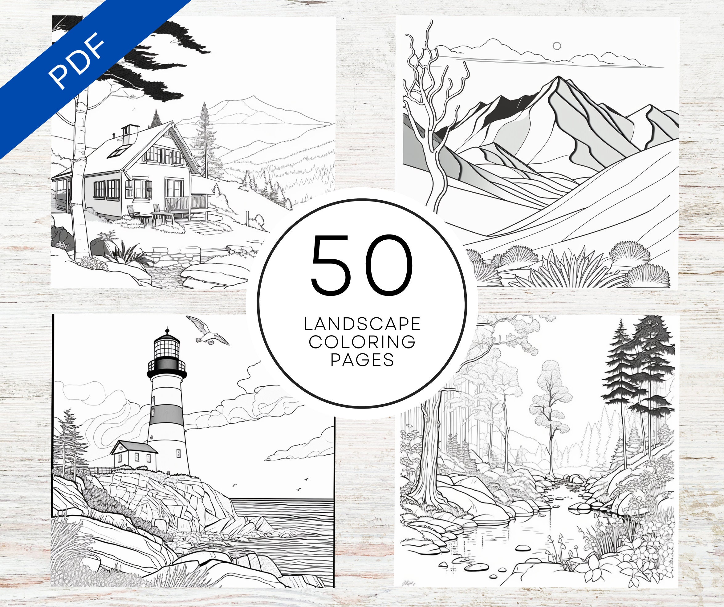 KDP Interior 50 Landscape Coloring Pages | 8.5" X 11" Printable PDF ...