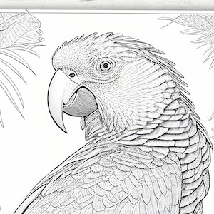 10 Parrot Coloring Pages | Printable Grayscale Parrots Coloring Sheets ...