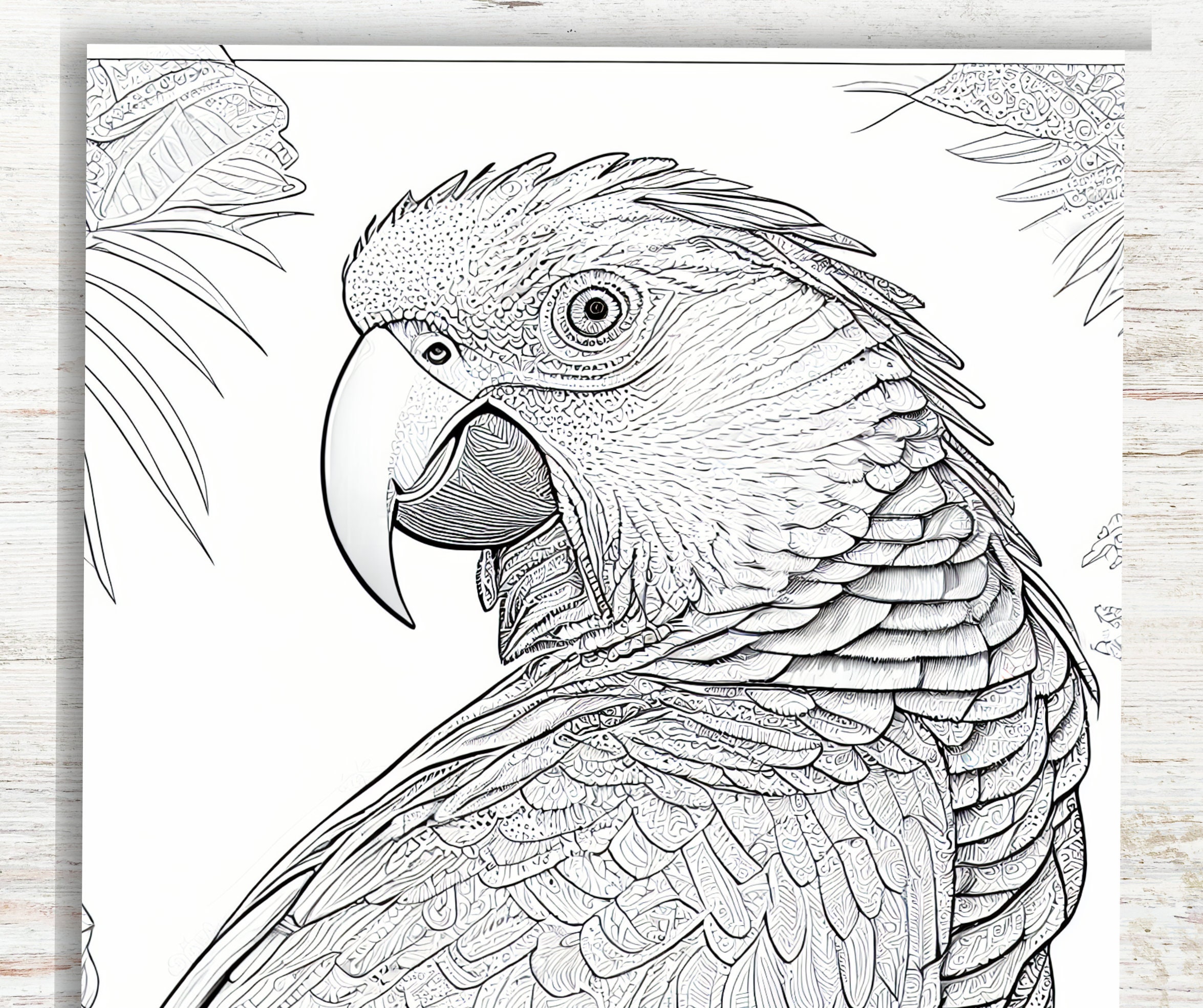 10 Parrot Coloring Pages | Printable Grayscale Parrots Coloring Sheets ...