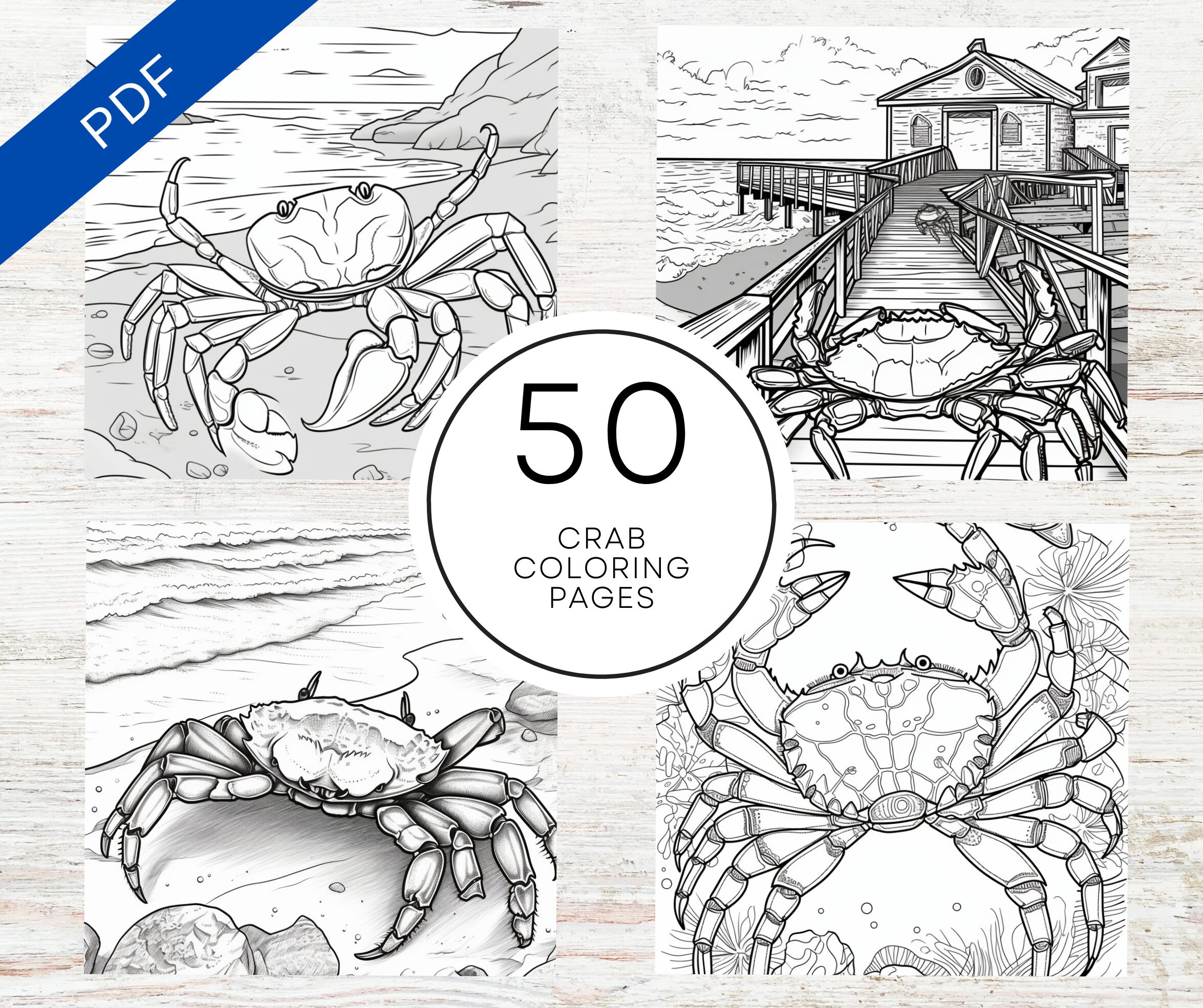 KDP Interior 50 Crab Coloring Pages 8.5 X 11 Printable PDF Sea ...