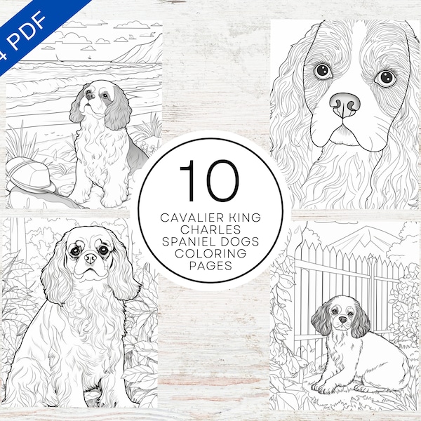 Cavalier Coloring Book - Etsy