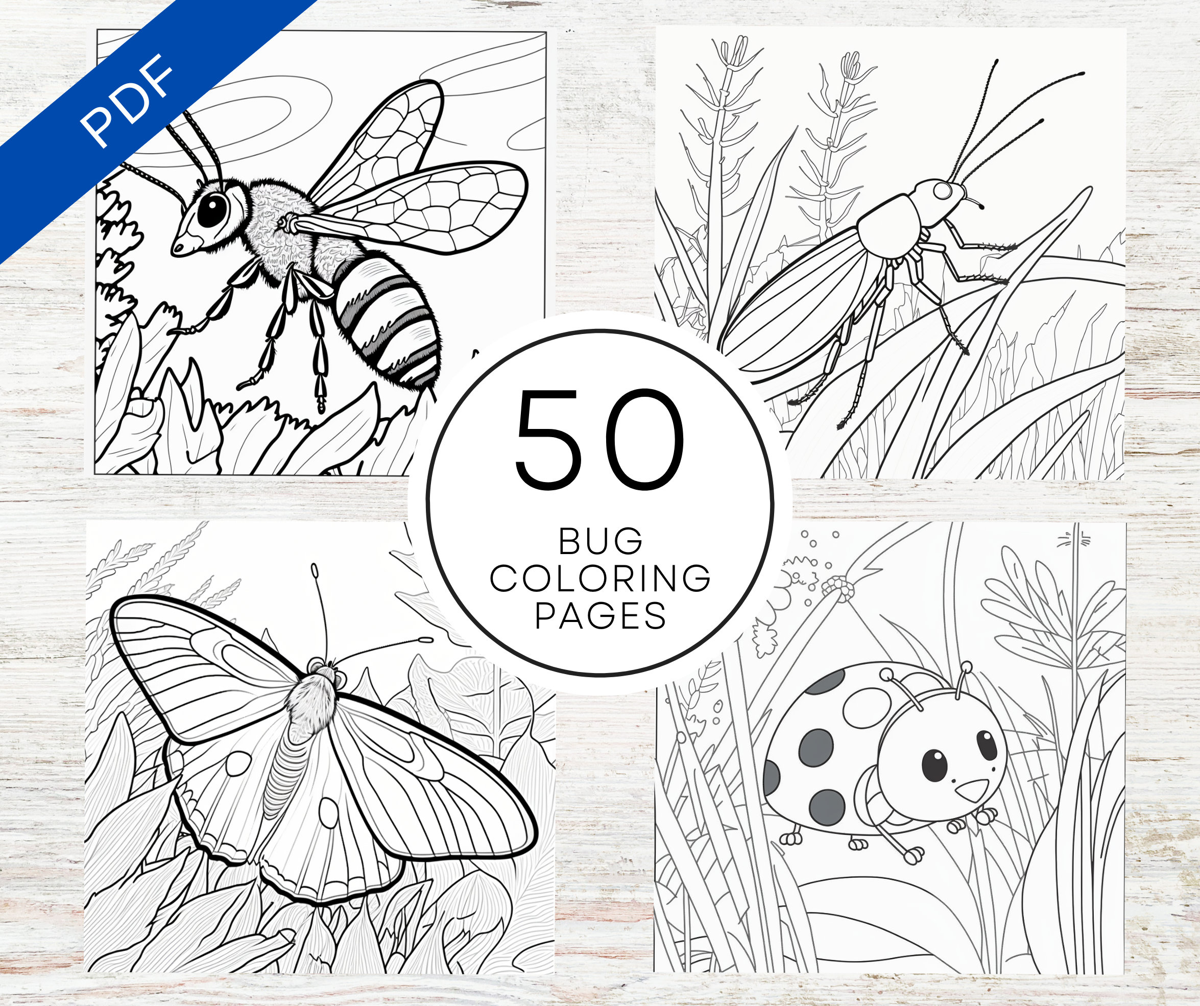 KDP Interior 50 Bugs Coloring Pages for Kids 8.5 X 11 Printable PDF ...