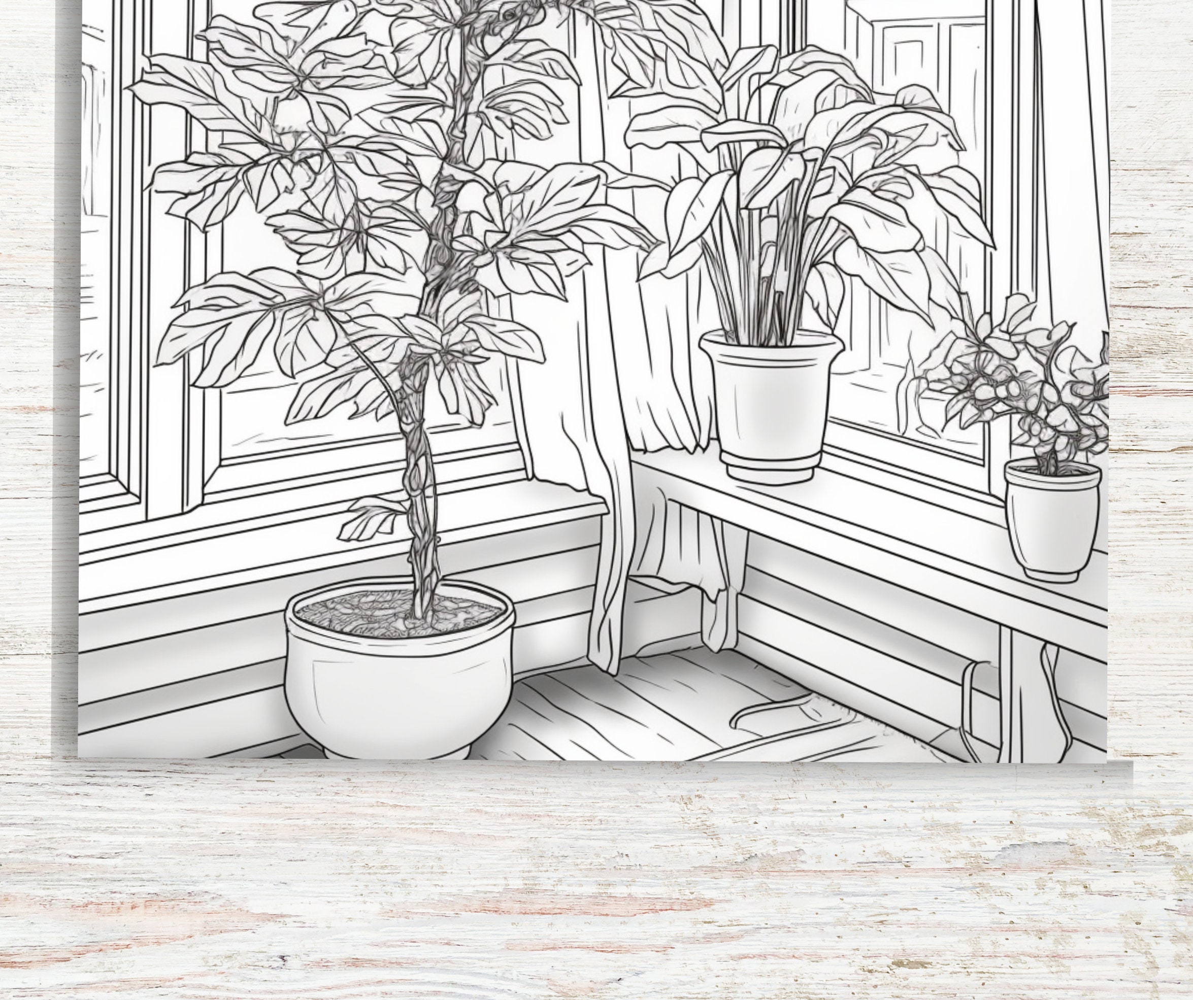 10 Pachira Money Tree Coloring Pages Printable PDF A4 Plant Coloring ...