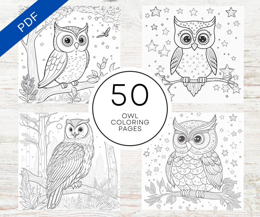 KDP Interior 50 Owl Coloring Pages | 8.5" X 11" Pdf+canva Template ...