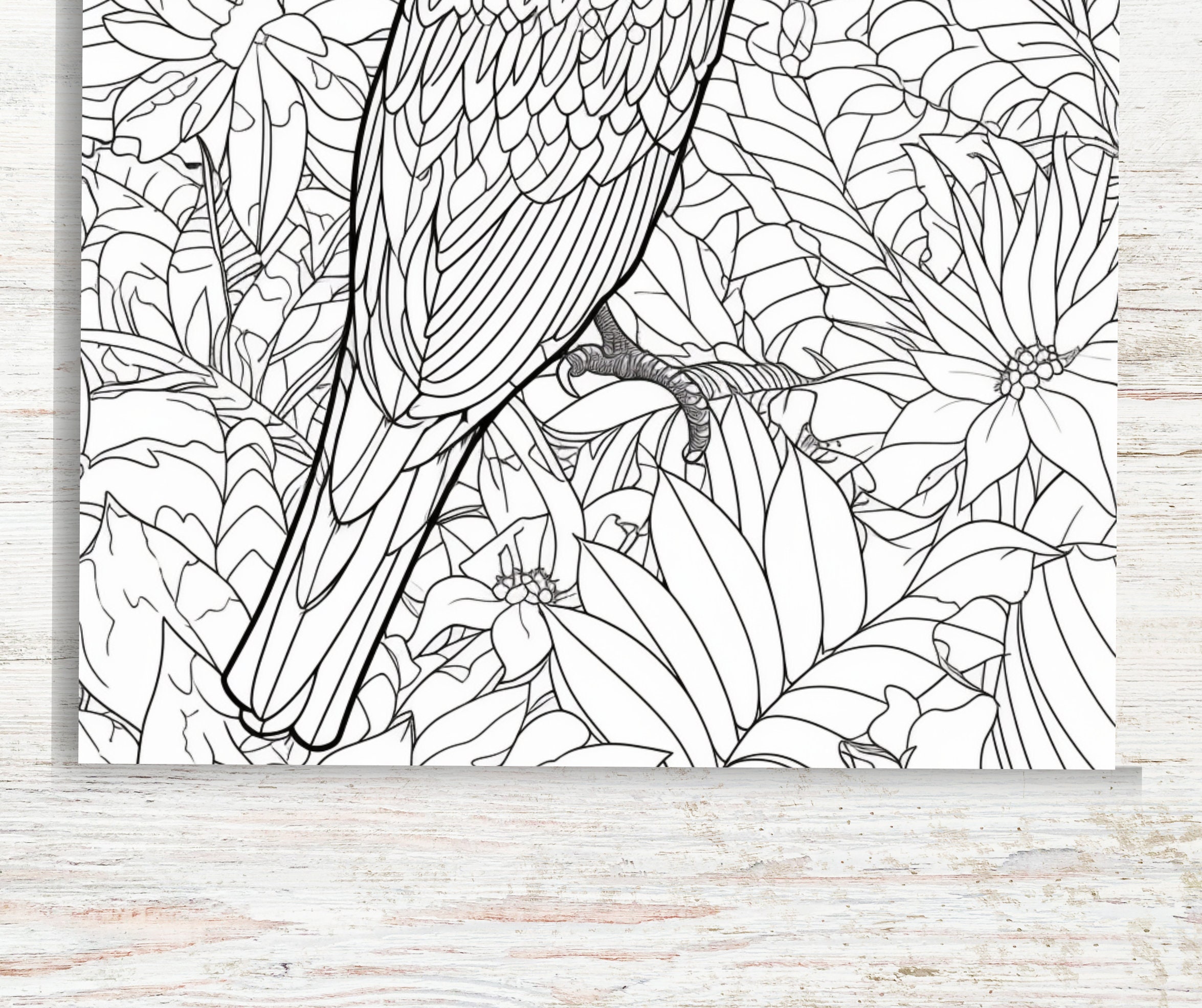 10 Toucan Coloring Pages Printable PDF A4 Beautiful Birds Animal ...