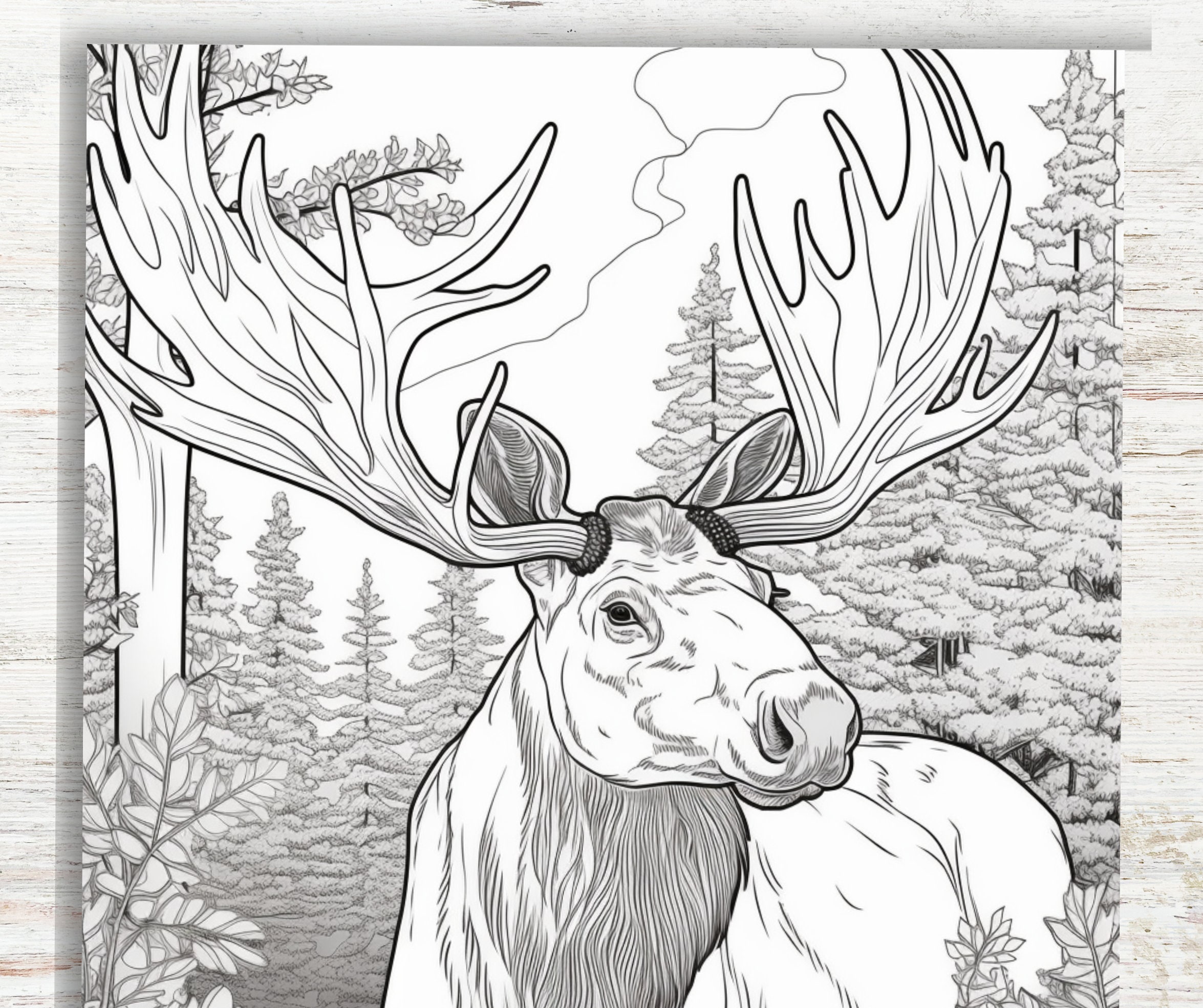 10 Moose Coloring Pages A4 Printable PDF Forest Wildlife Coloring ...
