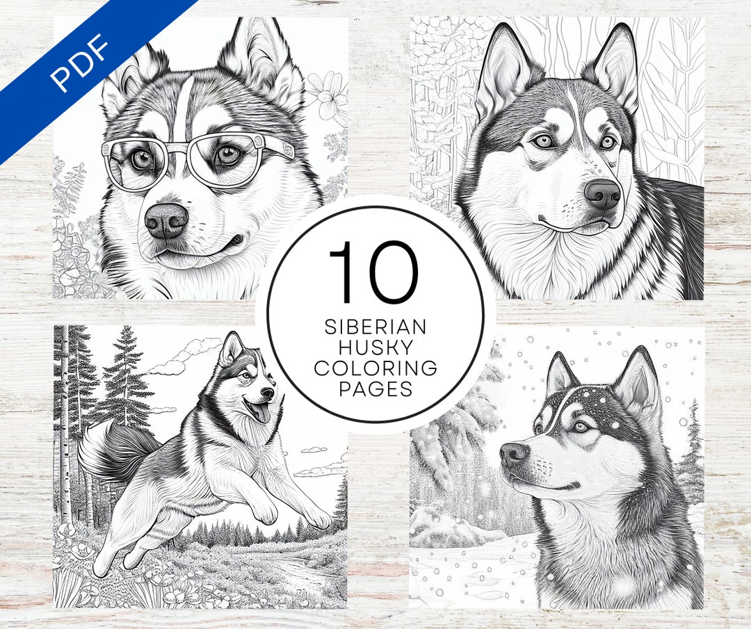Siberian Husky Dogs Coloring Pages | A4 Printable PDF | Dog Coloring ...